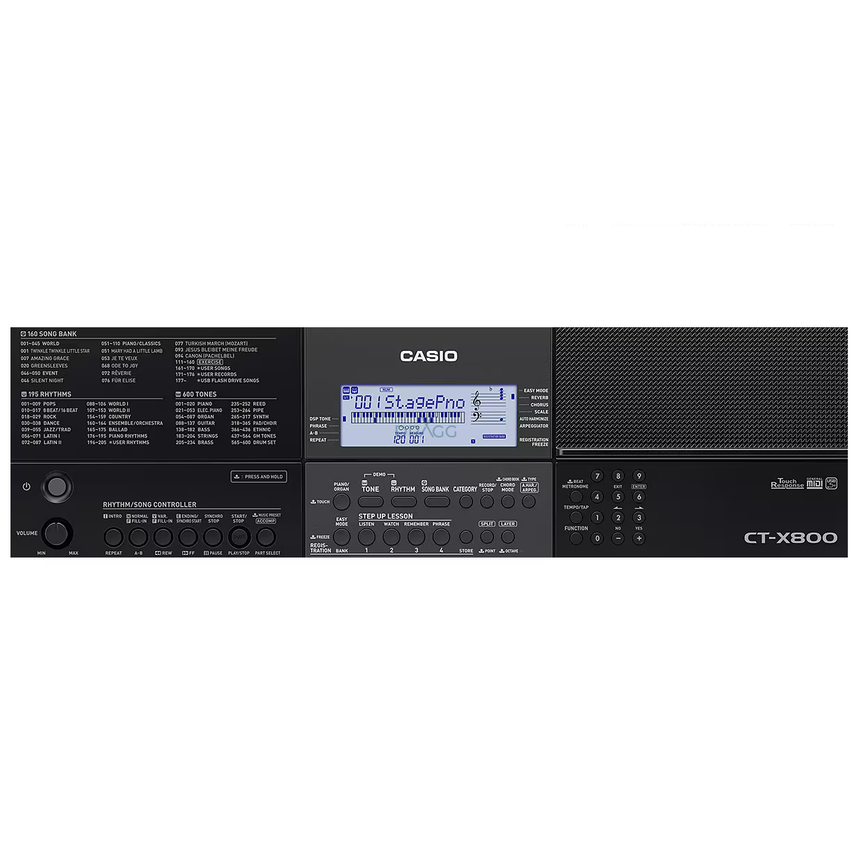 Teclados : Teclado Casio CT-X5000